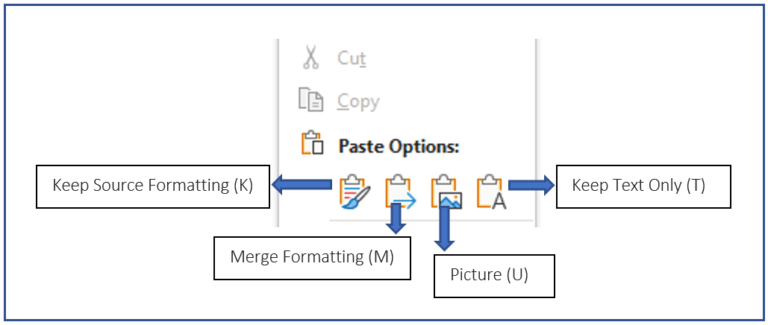 Paste Options Right Click Solutions