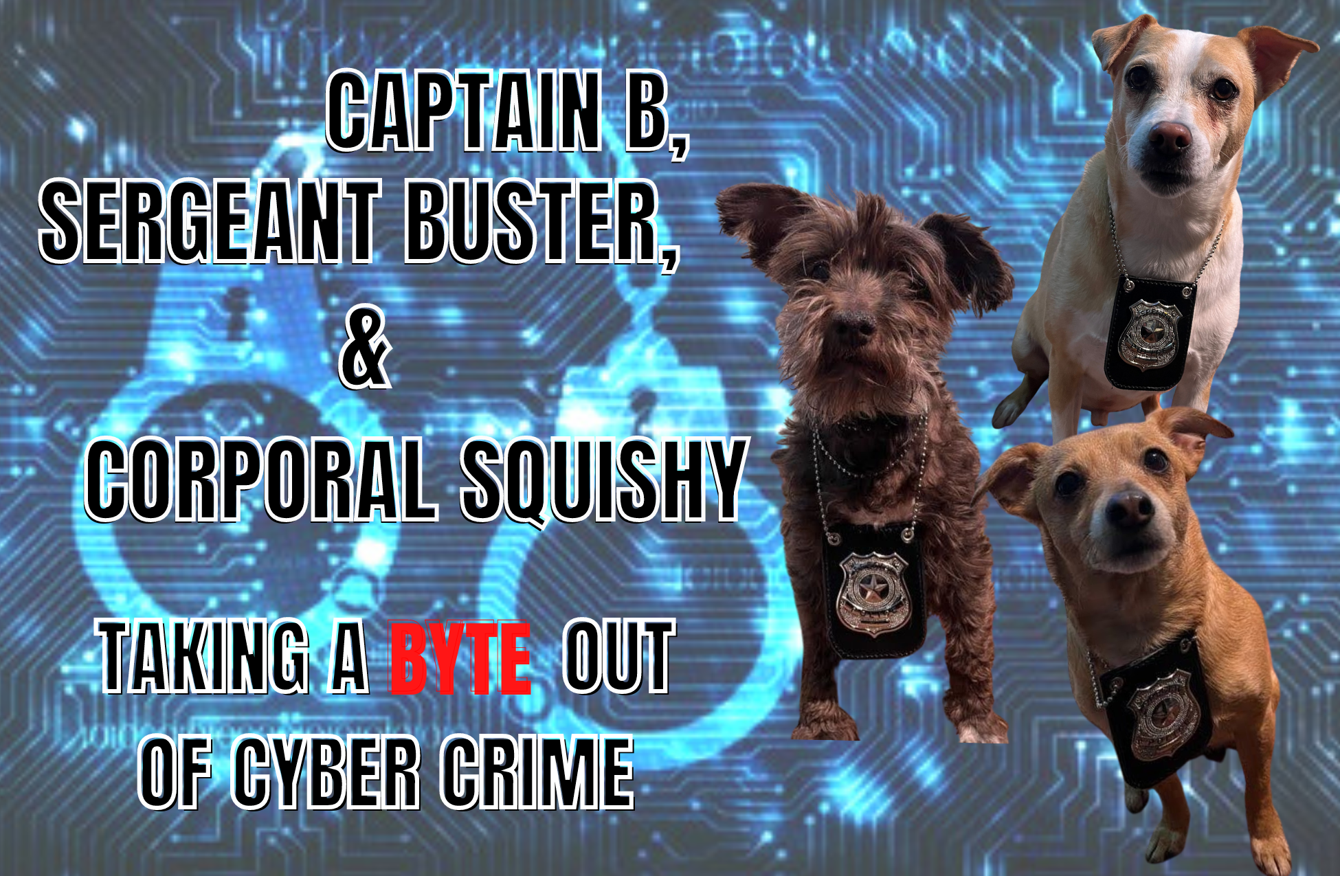 Holiday Scam Taskforce with Captain B, Sergeant Buster & Corporal ...